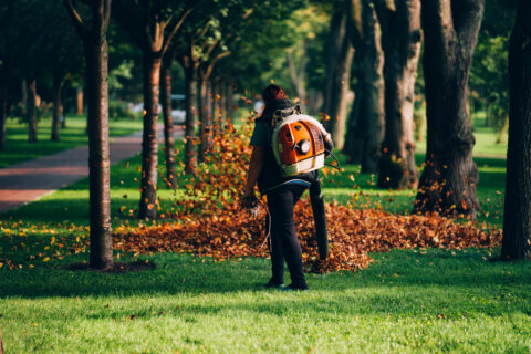 E.j Blandon Landscaping - ejblandonlandscaping.co